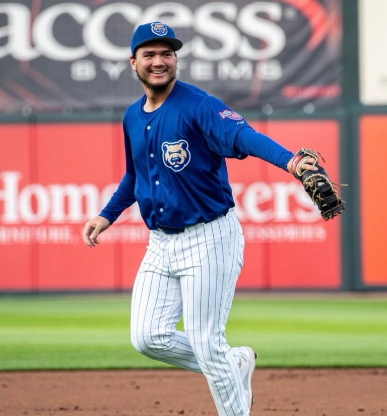 Cubs 2025 Minor League Hitting Stat Leaders – Out of the Vines
